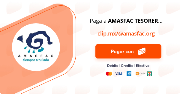 Link de Negocio - AMASFAC TESORERIA NACIONAL
